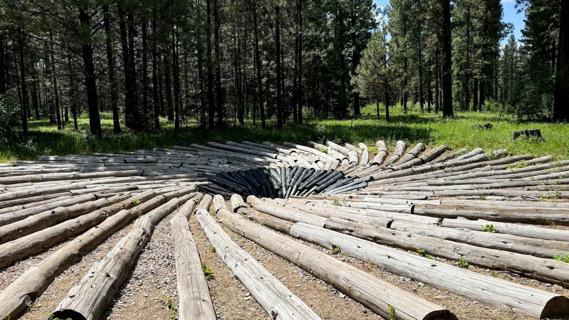 Visit Lincoln, MT | Tourism Website